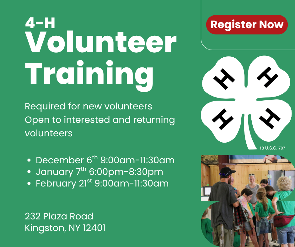 One-Day Volunteer Opportunities | UlsterCorps